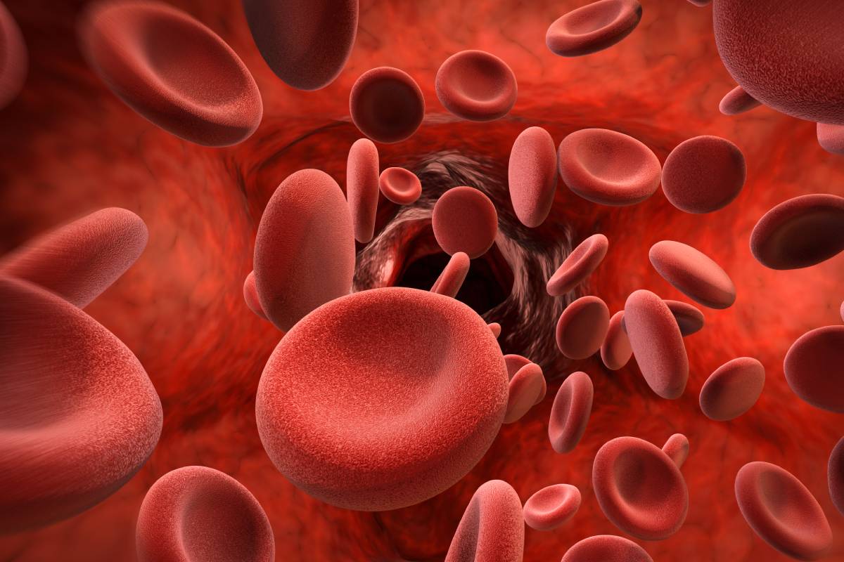 Hematolog a Qu Es S ntomas Y Tratamiento Top Doctors Hematolog a Qu Es S ntomas Y Tratamiento Top Doctors